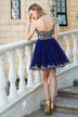 Royal Blue Princess Sweetheart Sleeveless Applique Mini Tulle Dresses